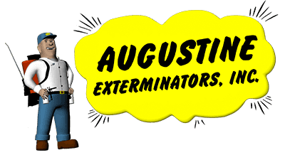 Pest Control in Kansas City MO | Augustine Exterminators